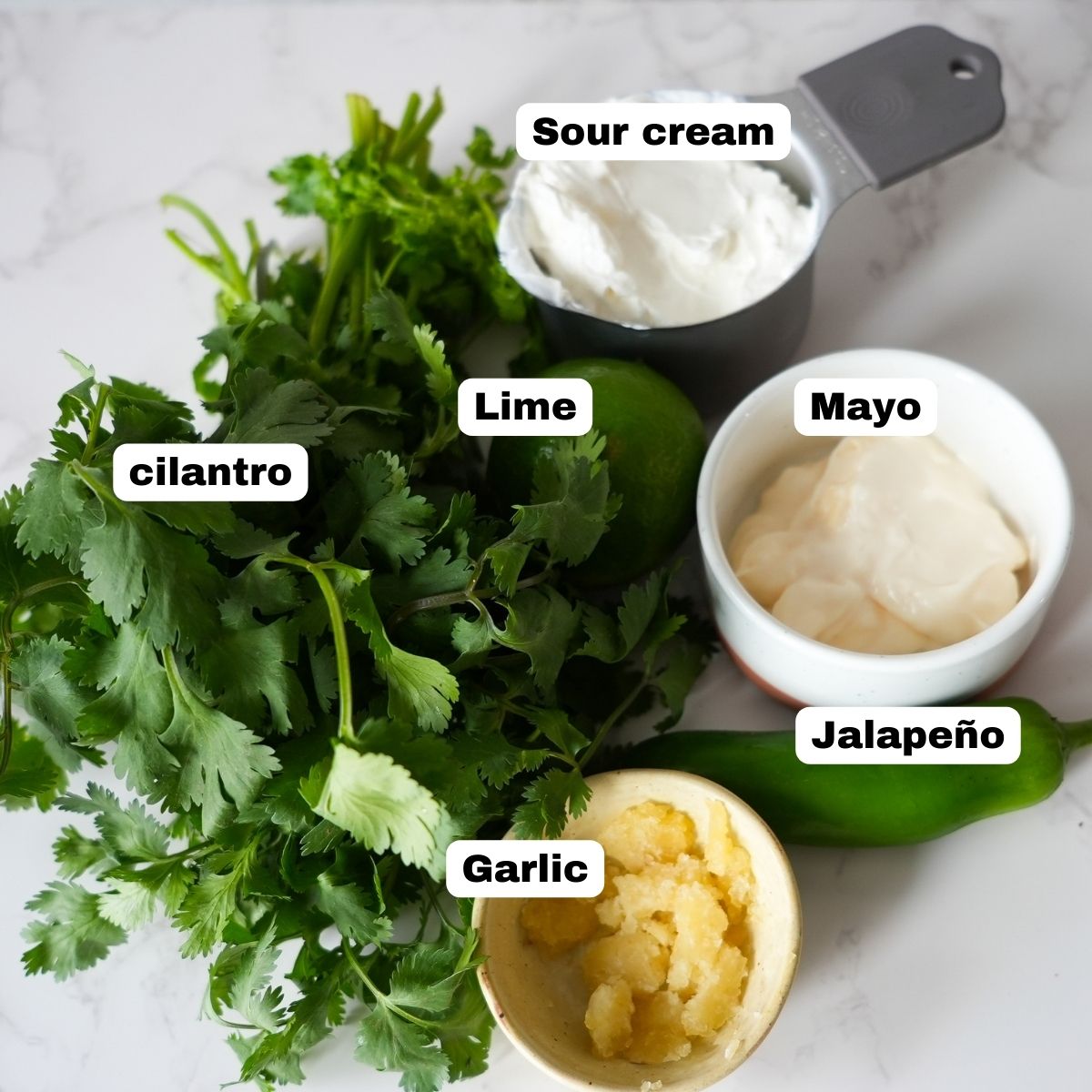 Cilantro Lime Sauce - There's Food at Home